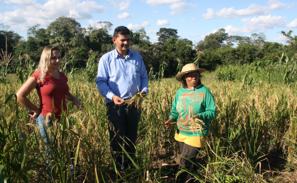 Governo reconhece importância do extensionista rural como agente de ...