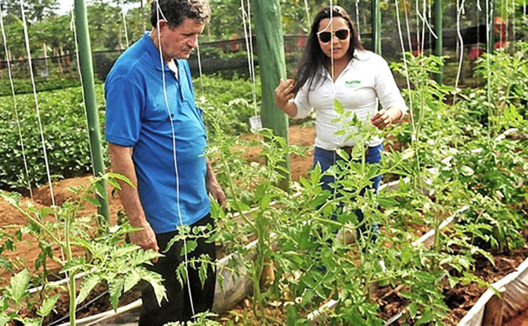 Com assistência técnica e extensão rural, o campo se desenvolve