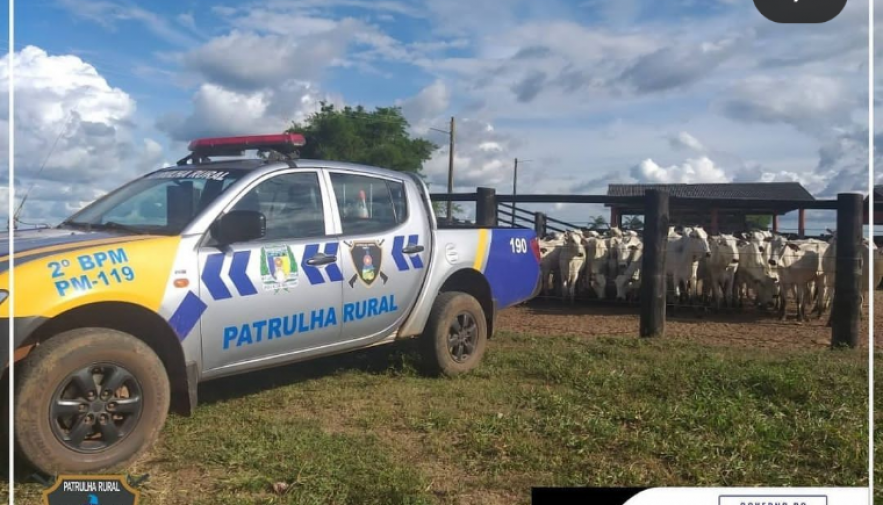 Patrulha Rural Da Pm Reduz índice De Criminalidade No Campo