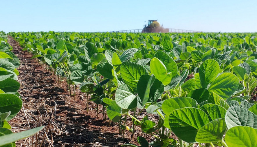 Produção de soja demonstra aumento expressivo em todas as regiões do ...