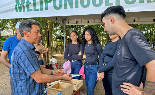 Meliponicultura é tema de oficina no estande do Ruraltins na 23ª edição ...