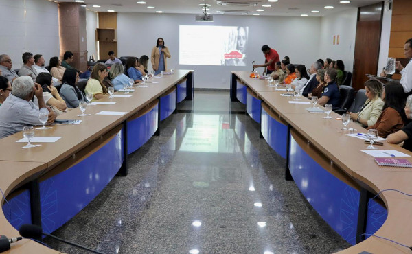 Governo do Tocantins articula ações emergenciais de enfrentamento à ...