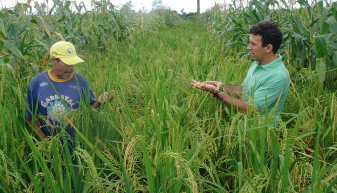Ações da extensão rural fortalecem agricultura familiar no norte do Estado